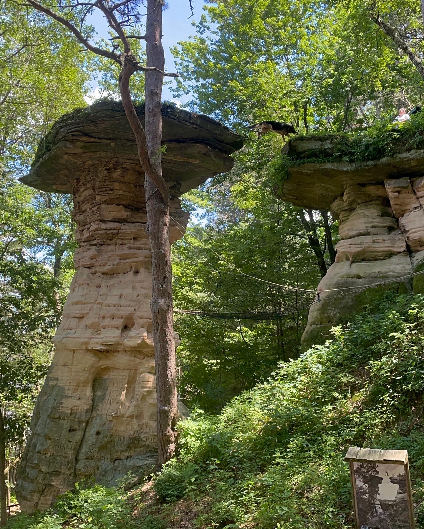 Wisconsin Dells – TBD Travel with April